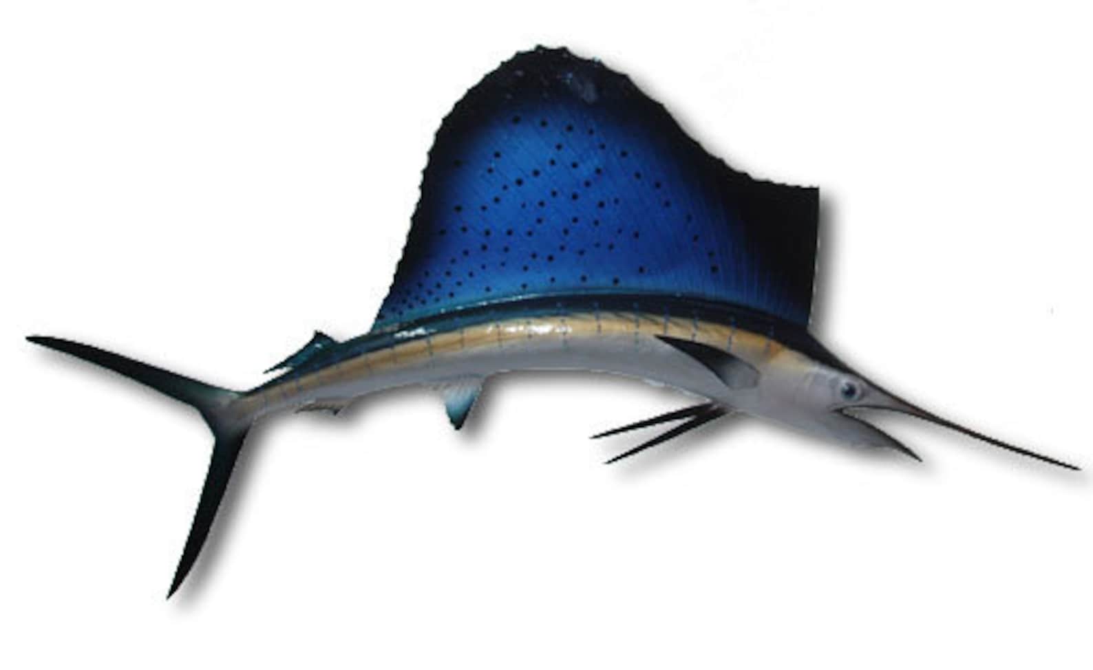 Sailfish Half-side Fish Mount 42" - Etsy