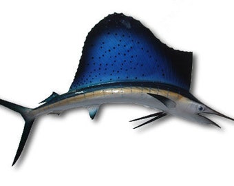 Stunning 58'' Sailfish Half-side Fish Mount Beautifully Painted and ...