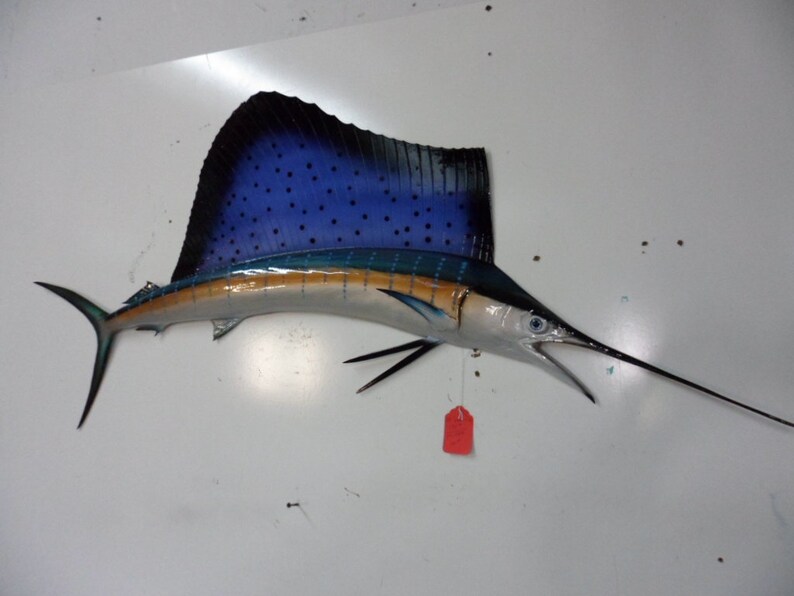 56"sailfish-fiberglass-half-mount-replica 56" Long, Measured Tip to Tip ...