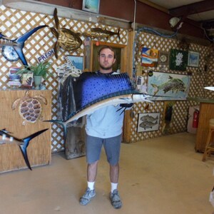 Sailfish Half-side Fish Mount 42" - Etsy
