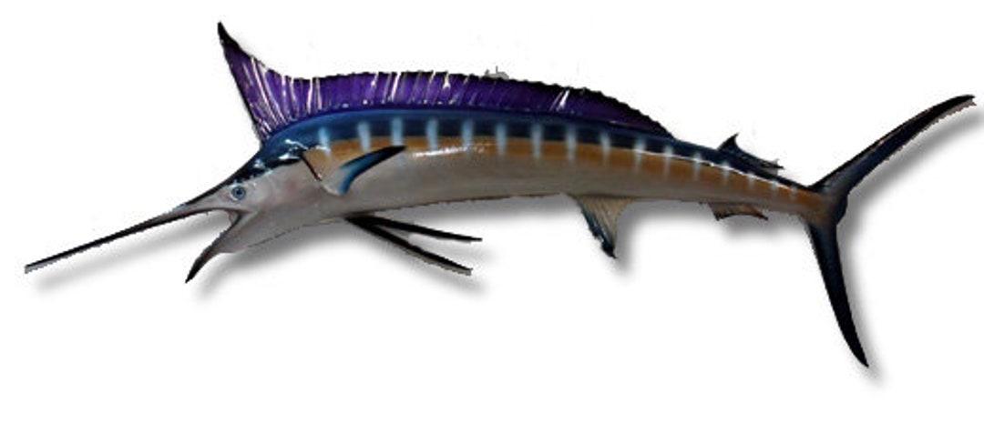 Blue Marlin Half-side Fish Mount 57" - Etsy
