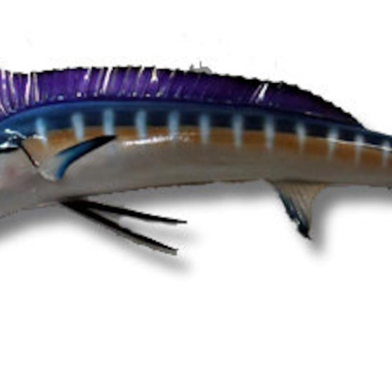 Blue Marlin Wall Mount - Etsy