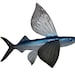Flying Fish Half-side Fish Mount - Etsy