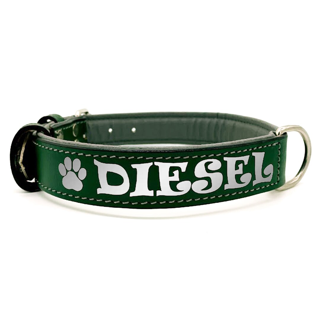 Reflective Green Leather Padded Dog Collar Custom Personalized With ...