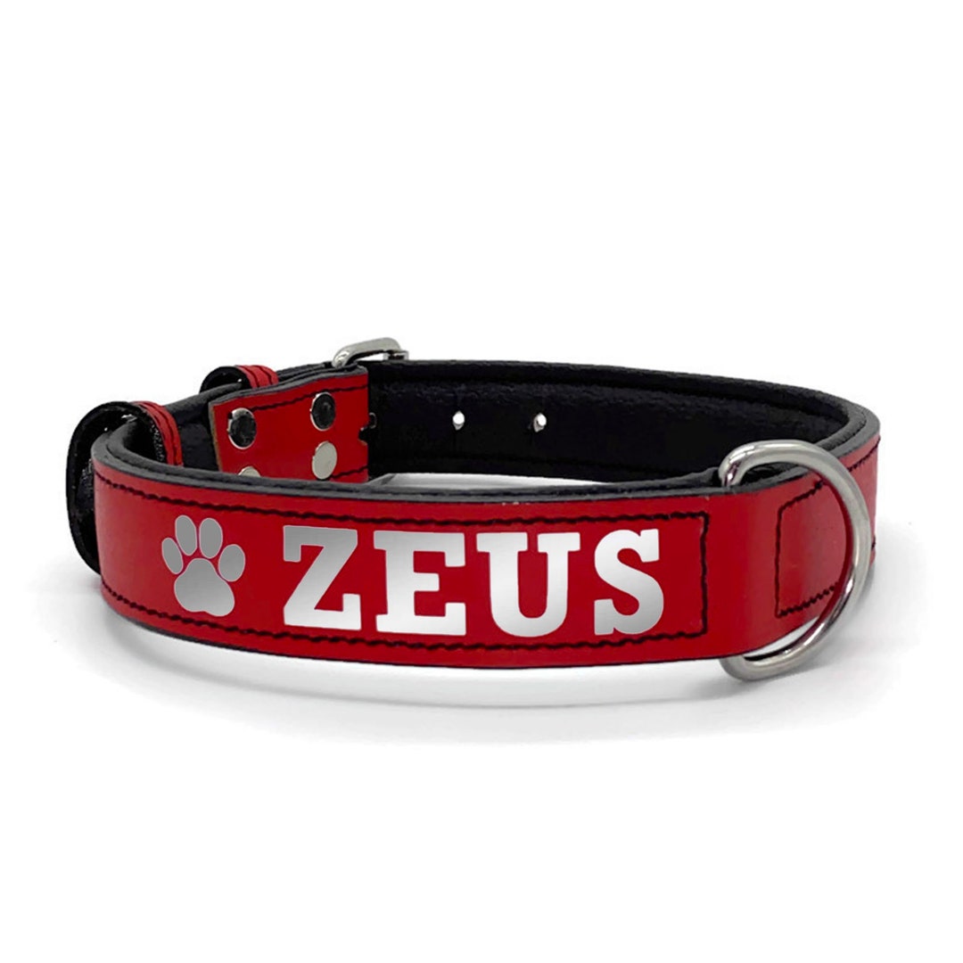 Reflective Red Leather Padded Dog Collar Custom Personalized With Free ...