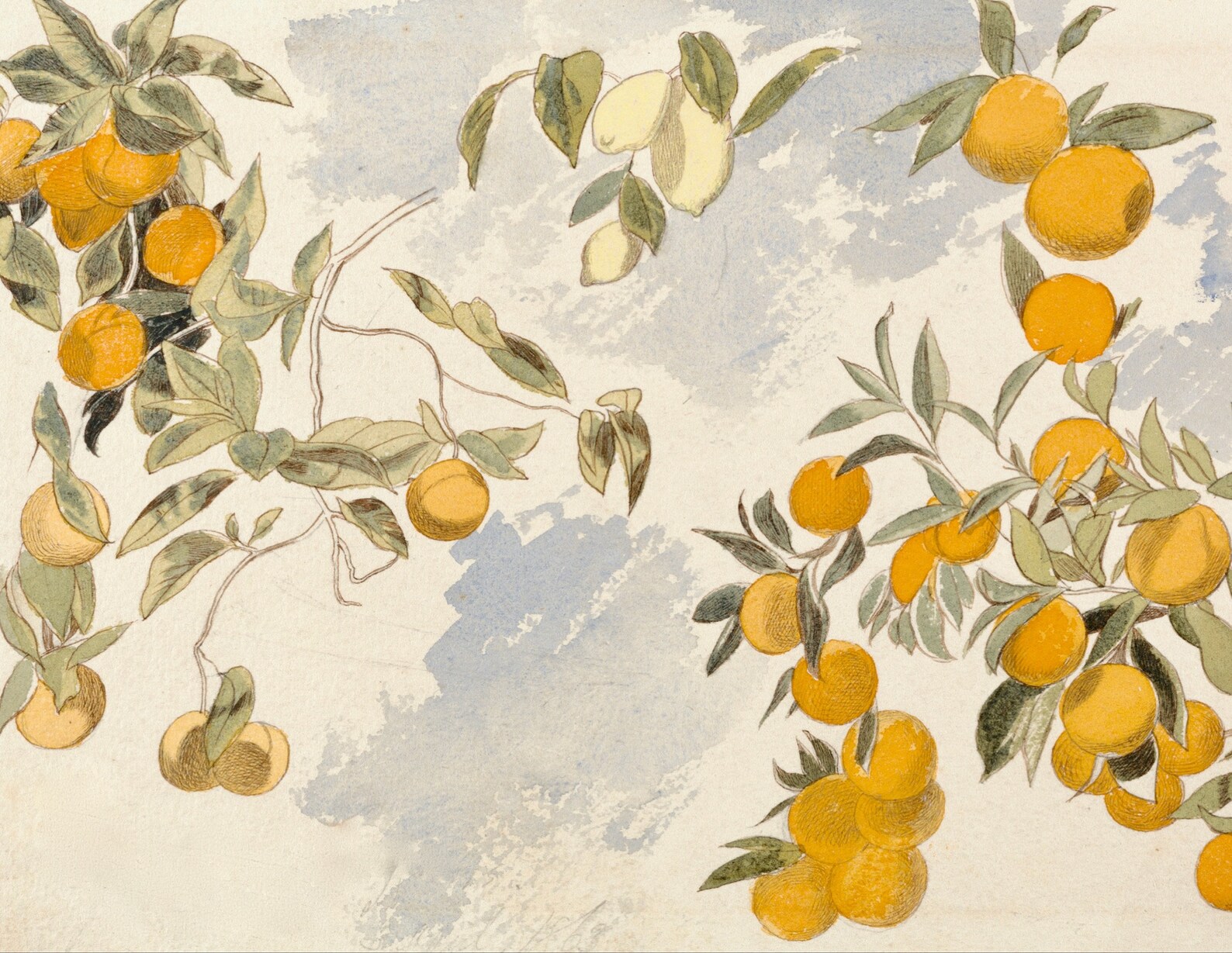 Orange Tree Antique Artwork Vintage Painting Gallery - Etsy