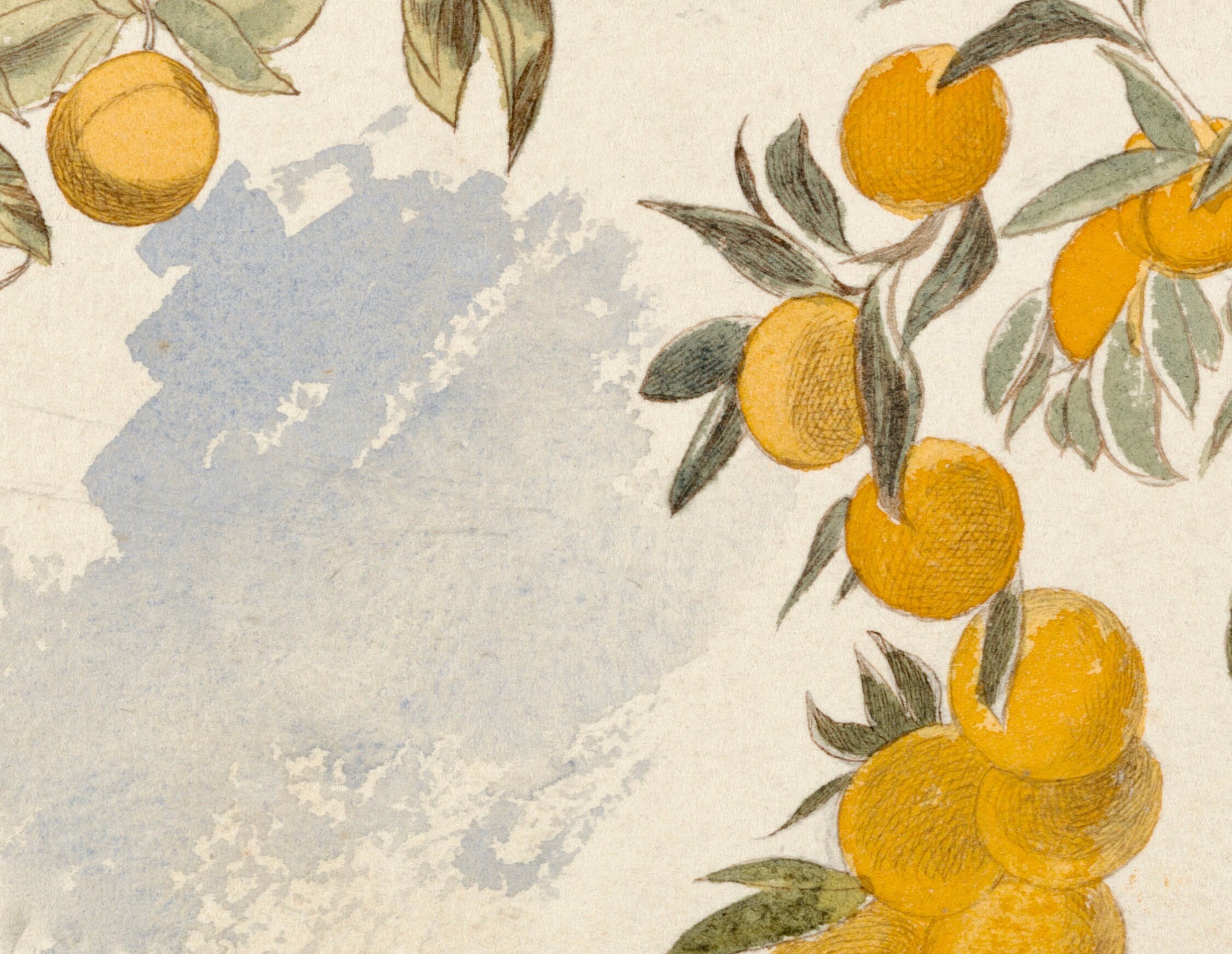 Orange Tree Antique Artwork Vintage Painting Gallery | Etsy