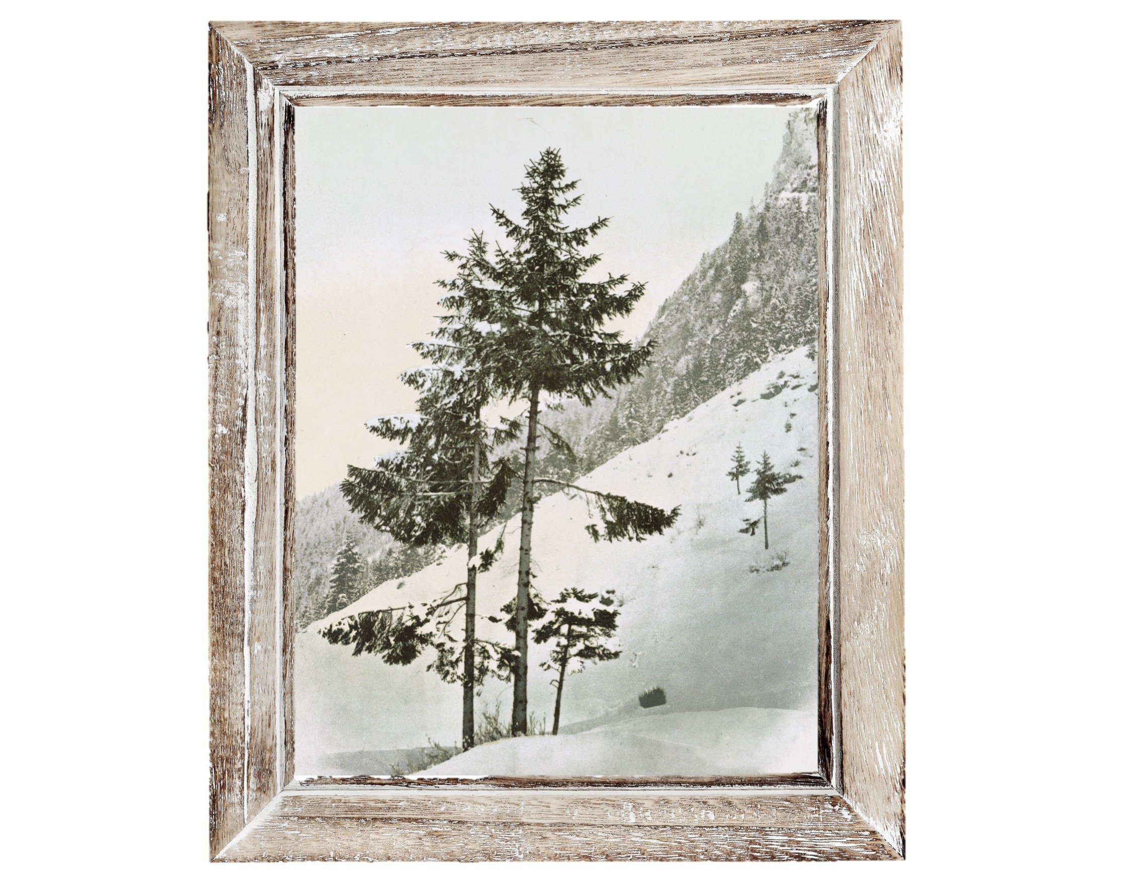 Winter Pine Tree Winter Decor Holiday Art Wall Art | Etsy