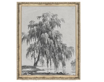 Wall Décor Willow tree Willow Antique willow print Tree printable ...