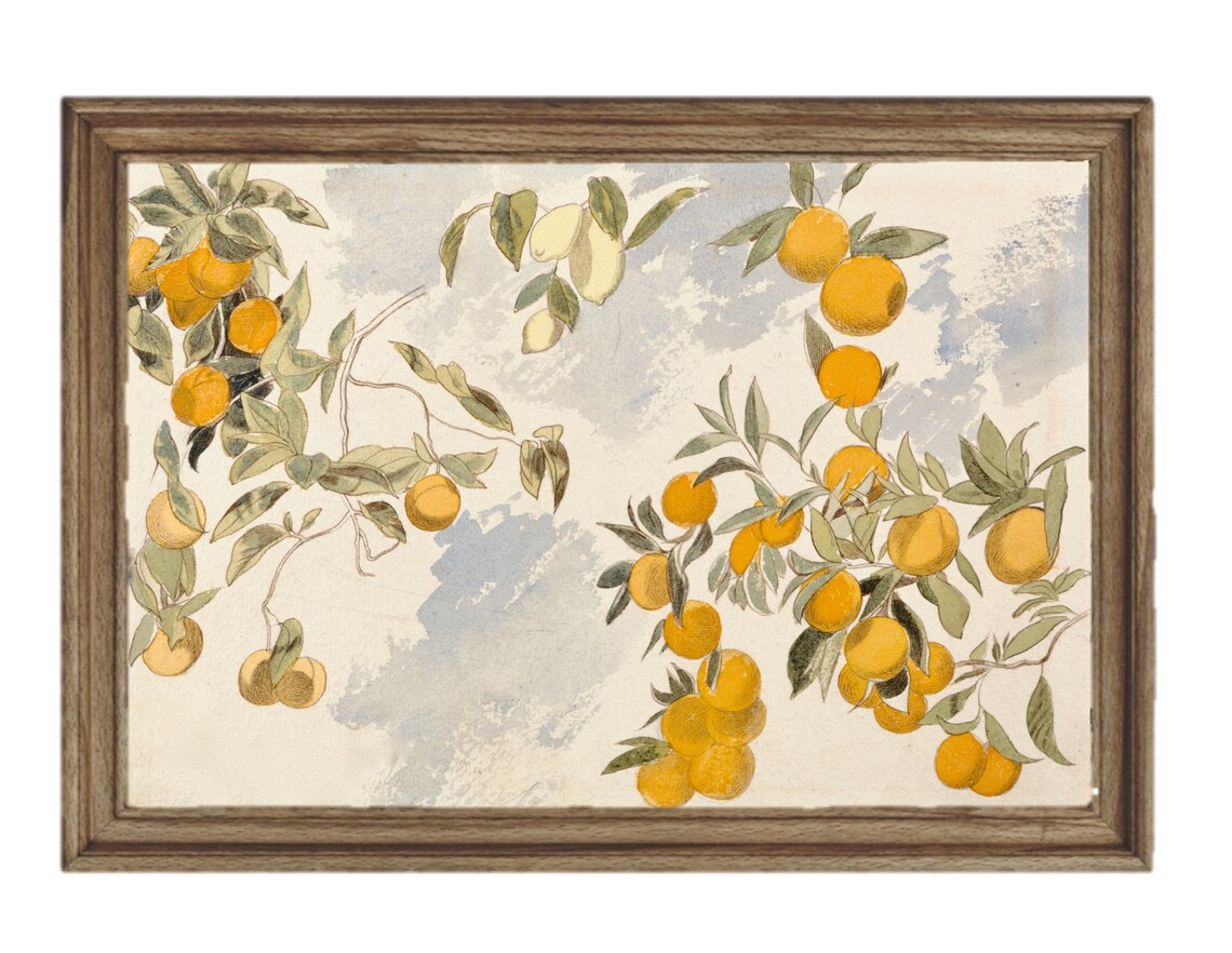 Orange Tree Antique Artwork Vintage Painting Gallery - Etsy
