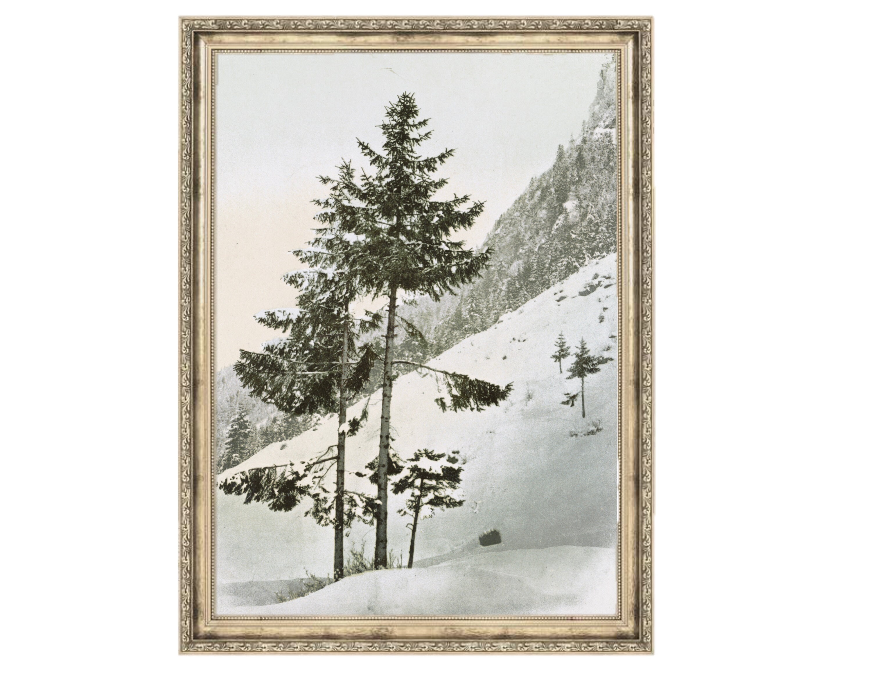 Winter Pine Tree Winter Decor Holiday Art Wall Art | Etsy