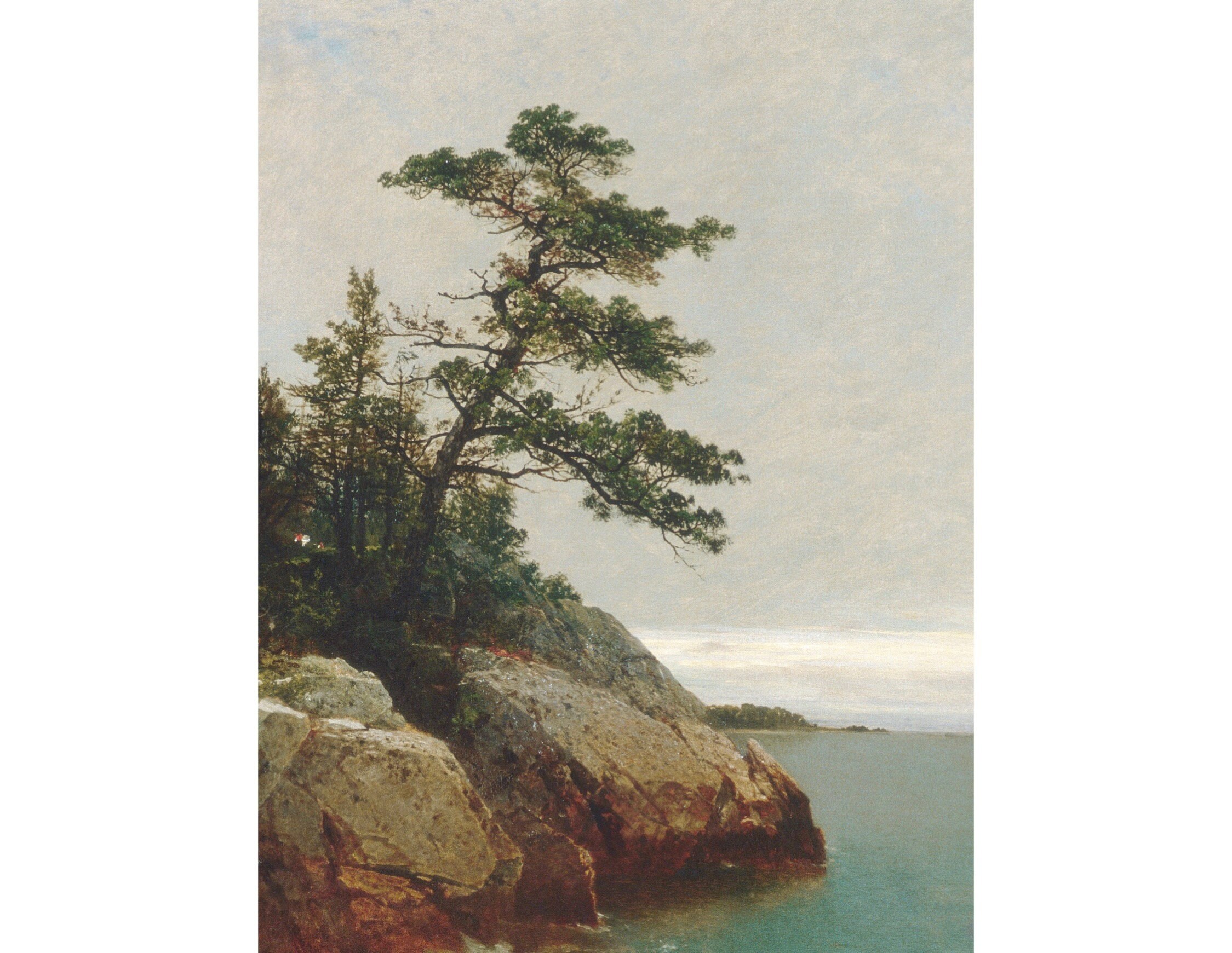 Leaning Old Tree on Cliffside Vintage Painting Wall Decor | Etsy