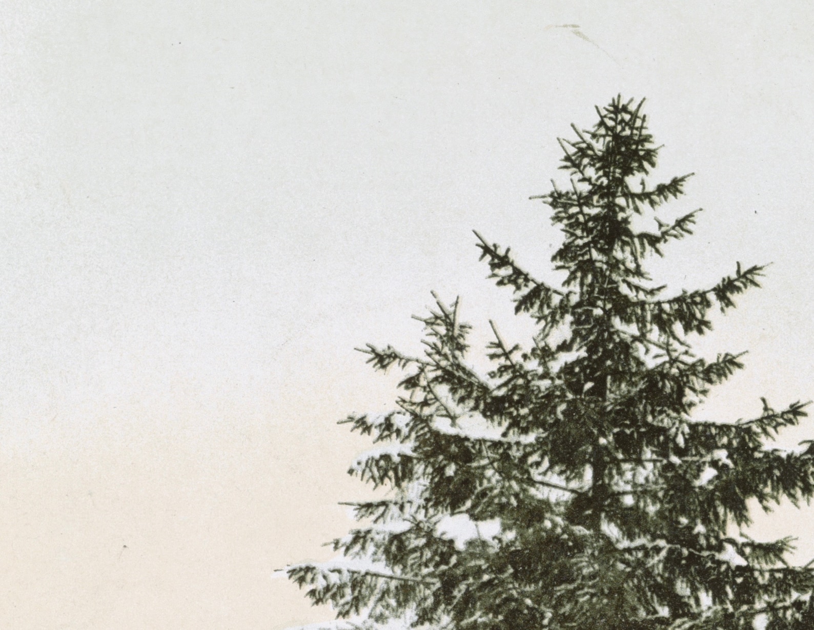 Winter Pine Tree Winter Decor Holiday Art Wall Art | Etsy