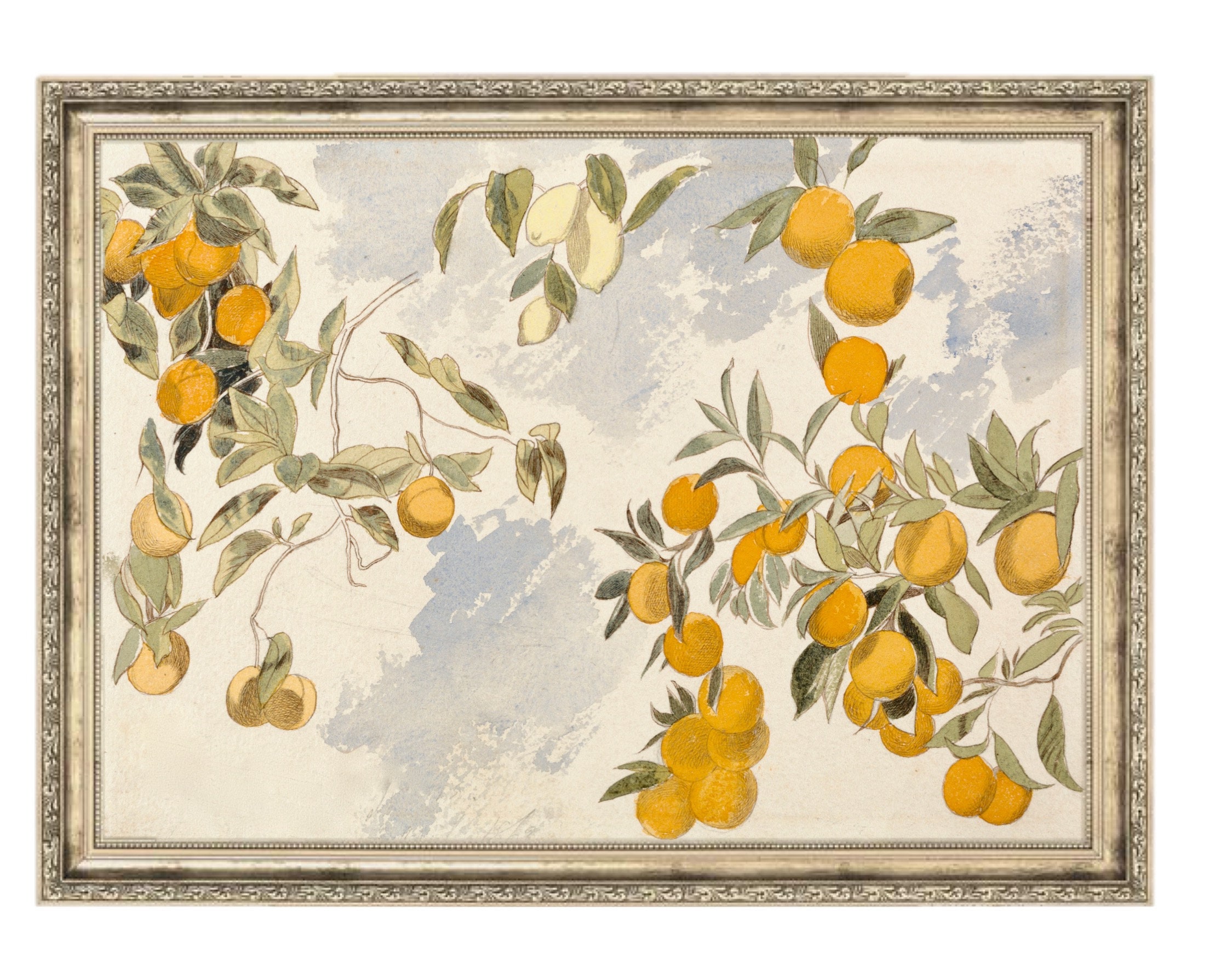 Orange Tree Antique Artwork Vintage Painting Gallery | Etsy