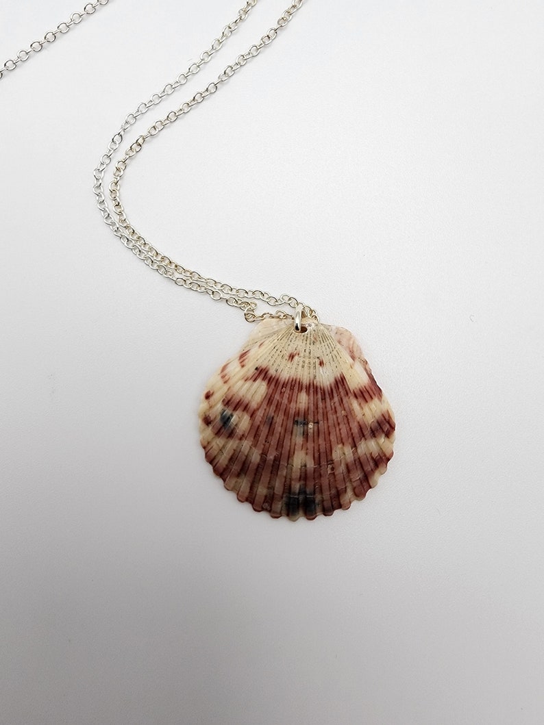 Red, White, & Blue Scallop Shell Pendant - Etsy