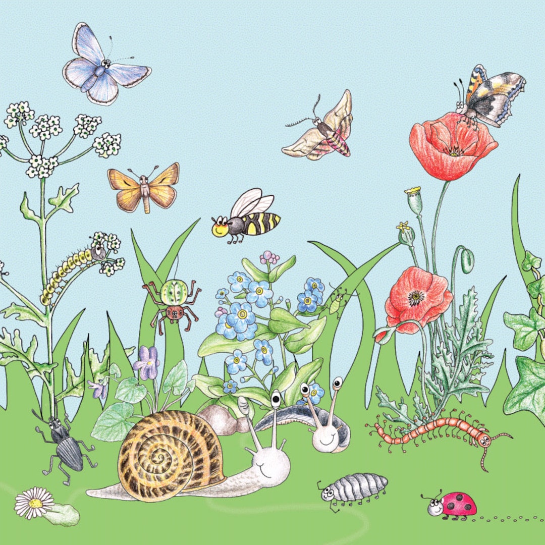 Little Nature Explorers Snail & Friends Greeting Card by Emma Lawrence ...
