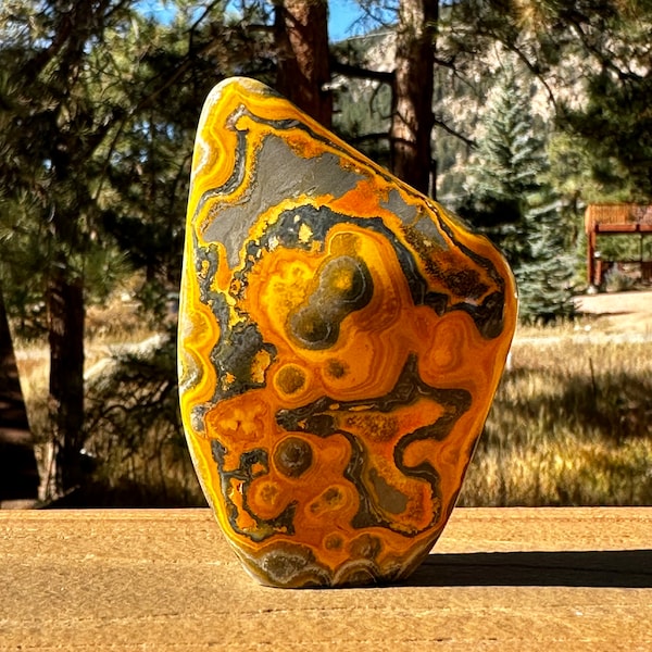 Bumblebee Jasper - Etsy