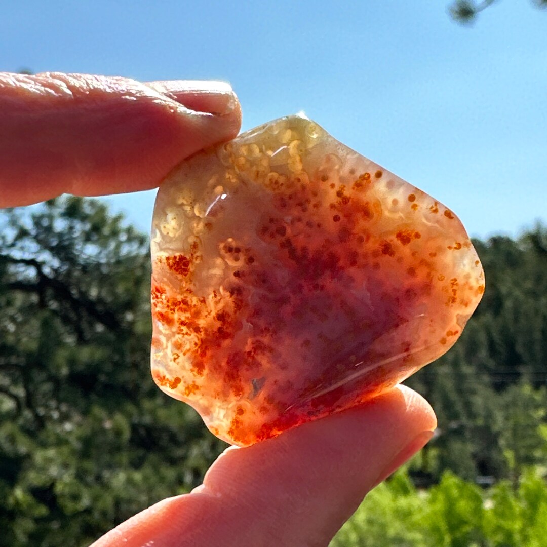 Ocean Jasper Tumbled Stone Jelly Fisheye - Etsy