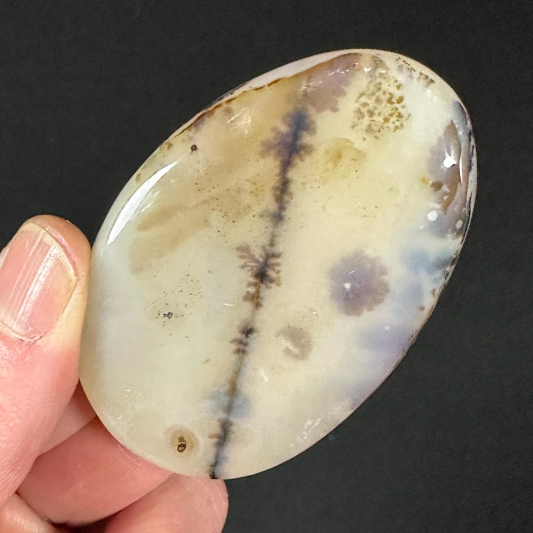 Dendritic Agate Palm Stone - Dendrite - Etsy