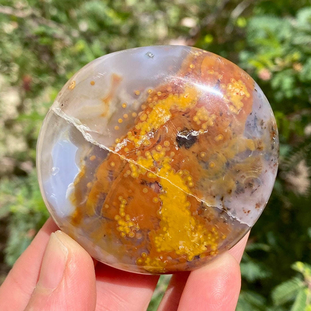 Ocean Jasper Palm Stone - Jelly - Etsy