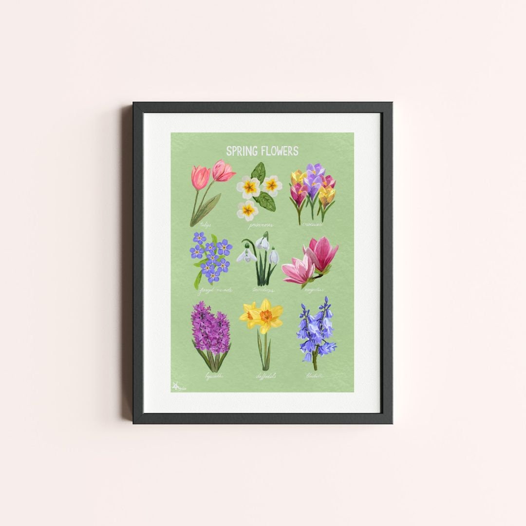 Spring Flowers Illustrated A5 A4 Wall Art Print | Tulips Crocuses ...