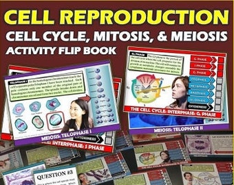 Cell Cycle Book - Etsy