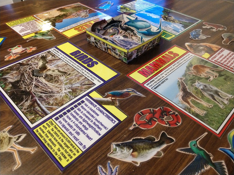 Animal Classification Vertebrate Sorting Activity - Etsy