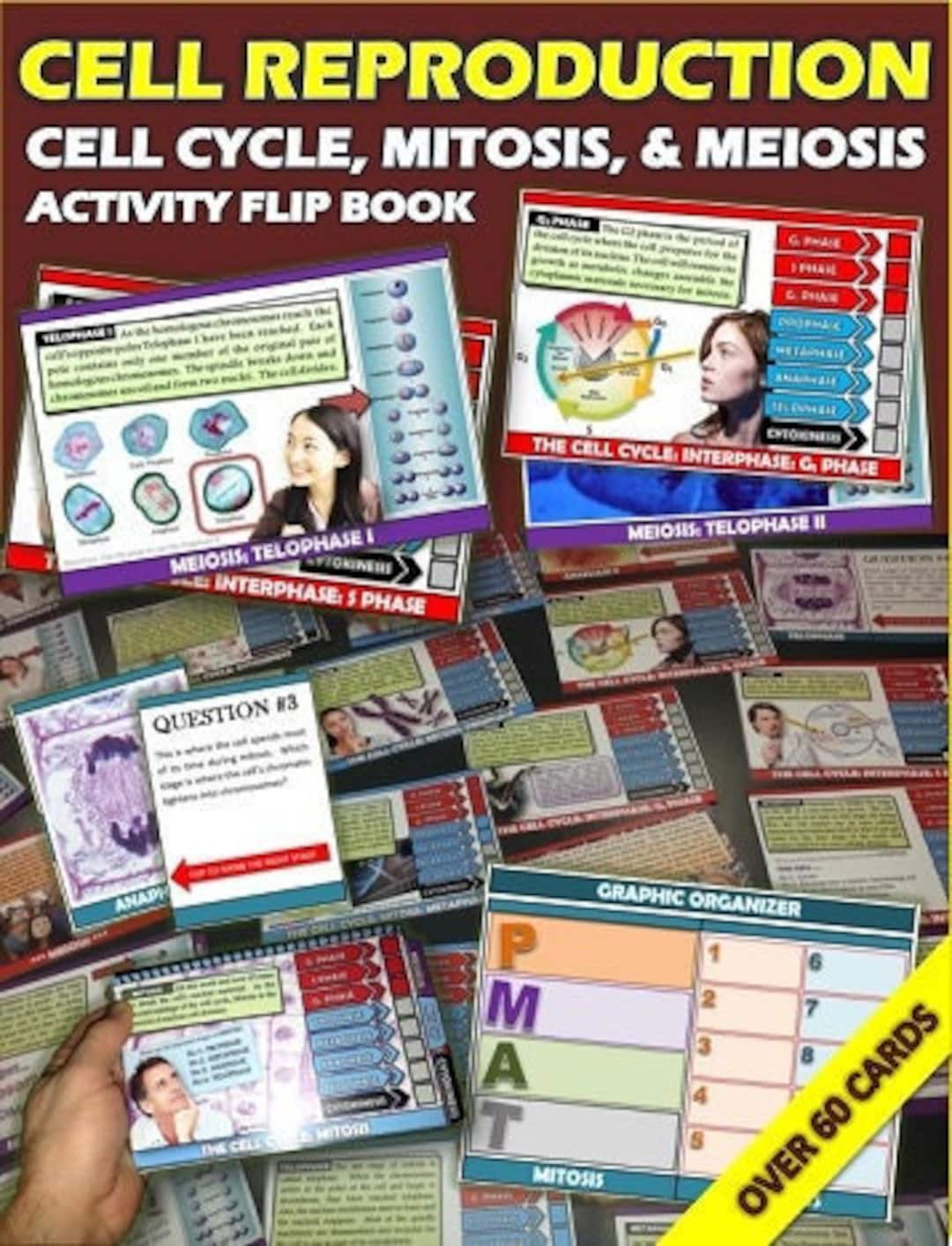 Mitosis Flip Book Example