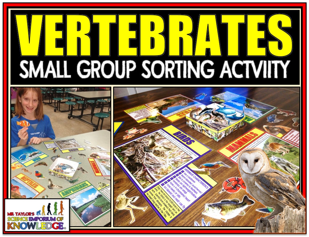 Animal Classification Vertebrate Sorting Activity - Etsy