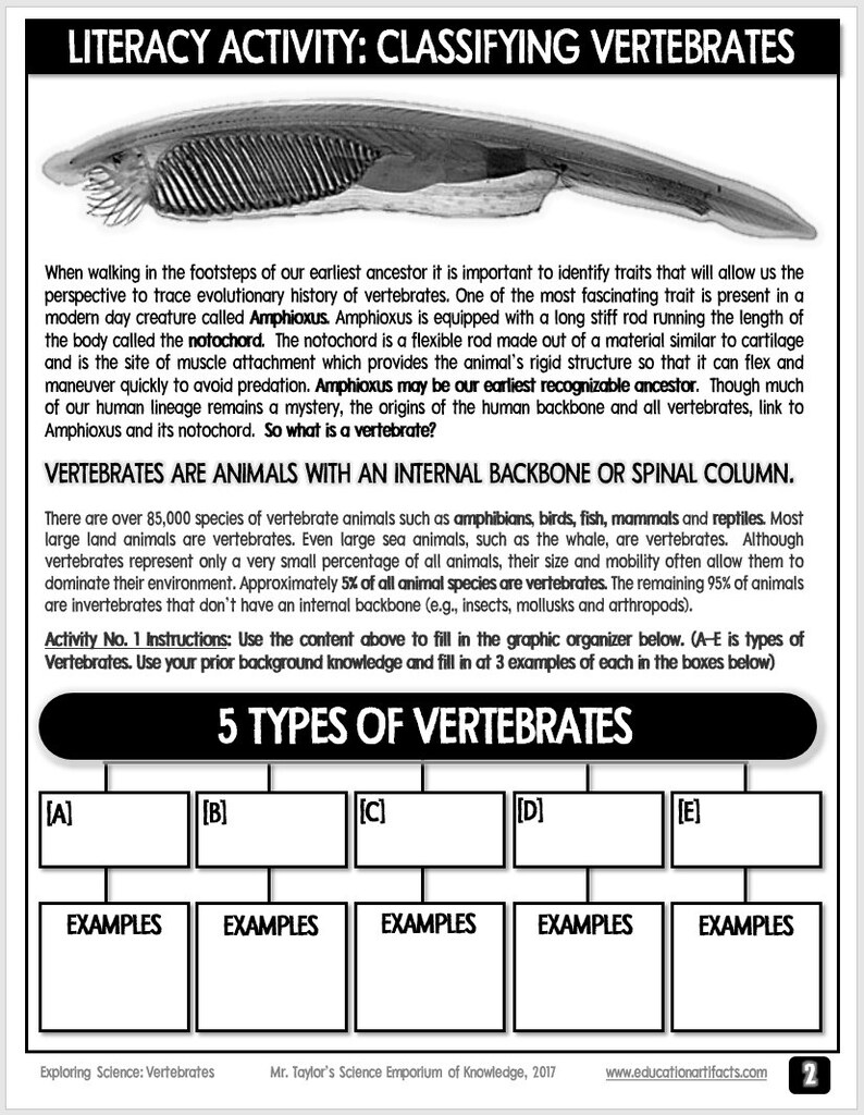 Vertebrates, Literacy, Observation, and Research Activity Worksheet ...