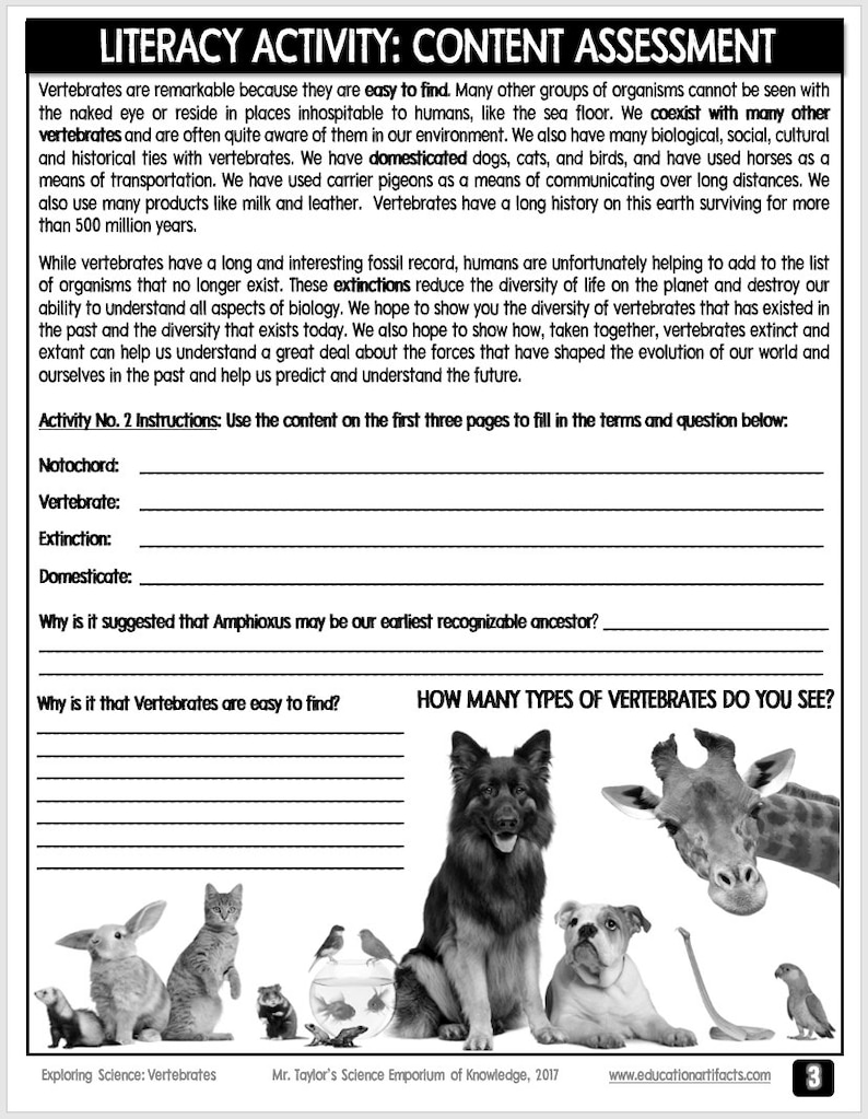 Vertebrates, Literacy, Observation, and Research Activity Worksheet ...
