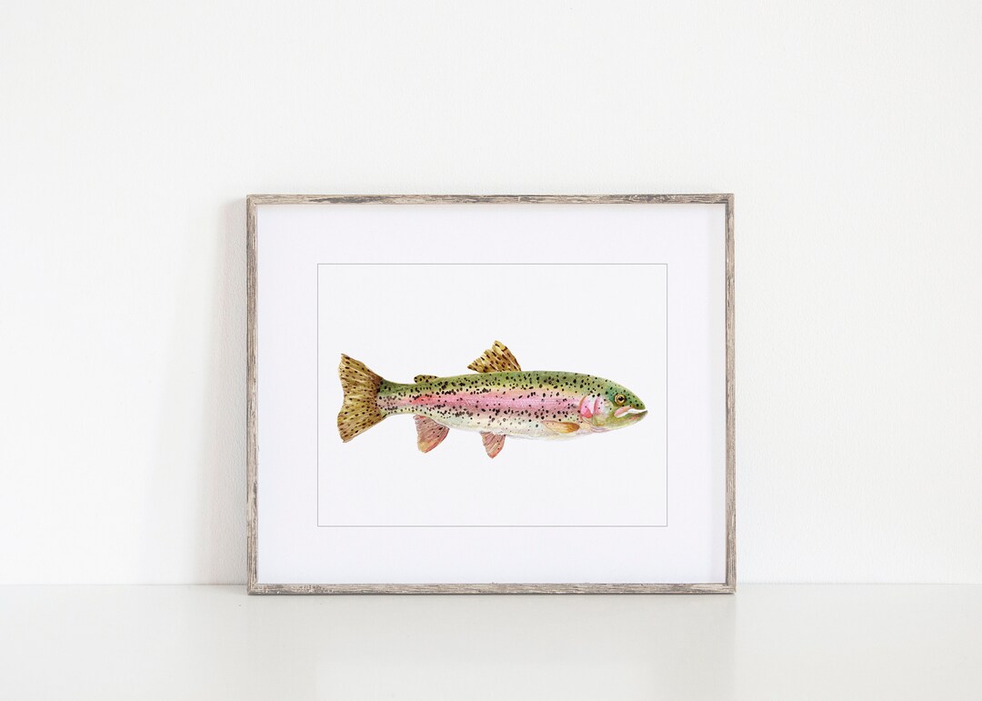 Rainbow Trout Print | Rainbow Trout Watercolor | Rainbow Trout Painting ...