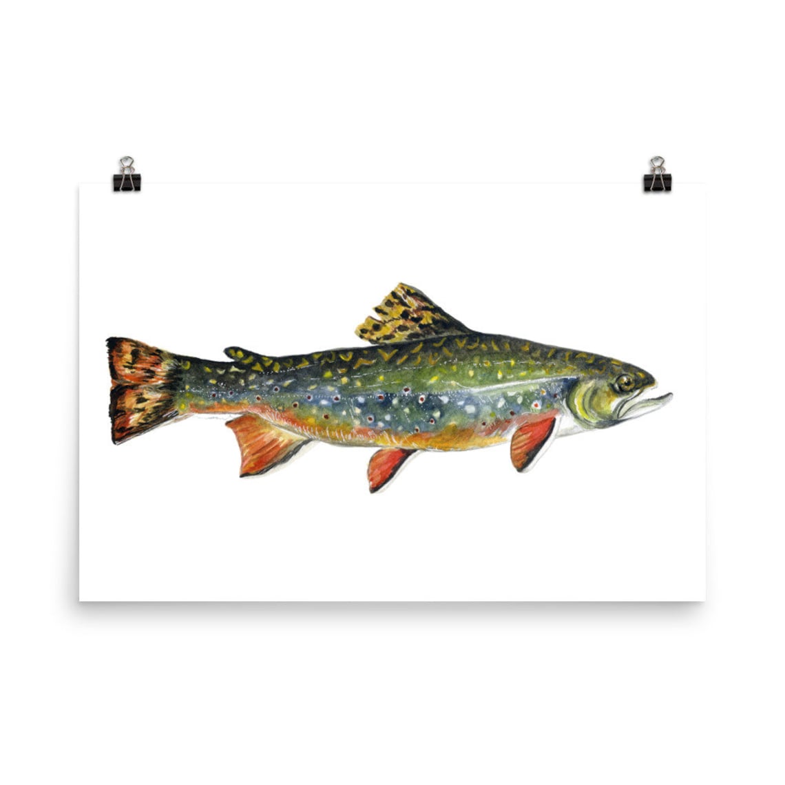 Brook Trout Print Brook Trout Painting Trout Painting - Etsy