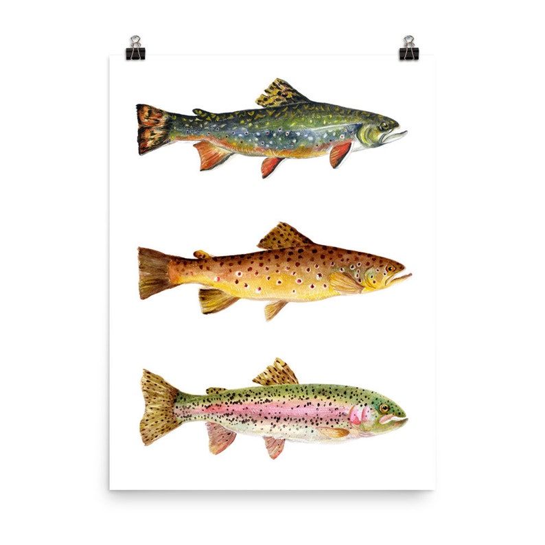 Trout Painting Trout Print Trout Fishing Fish Painting - Etsy