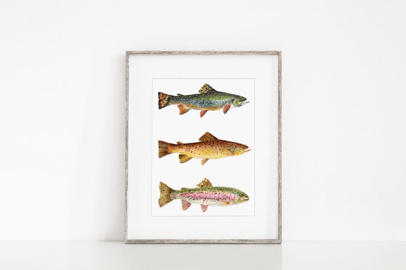 Trout Painting Trout Print Trout Fishing Fish Painting - Etsy