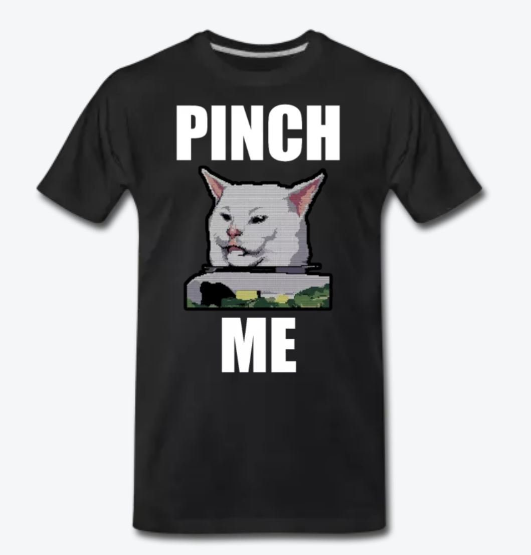 Yelling at Cat Meme T-shirt Design Pinch Me - Etsy