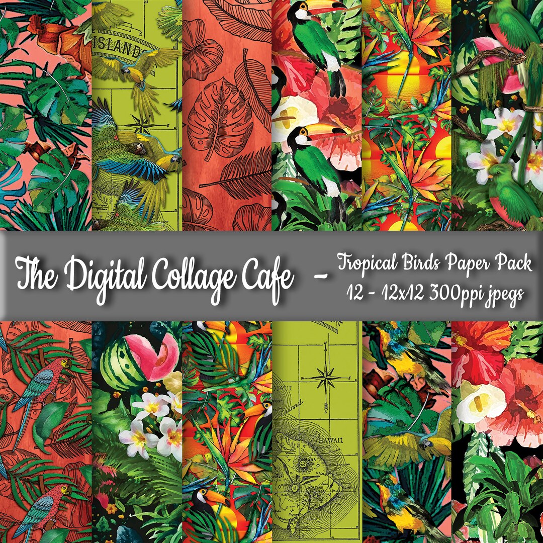 Tropical Birds Digital Paper Pack, Jungle Digital Paper Pack, Floral ...