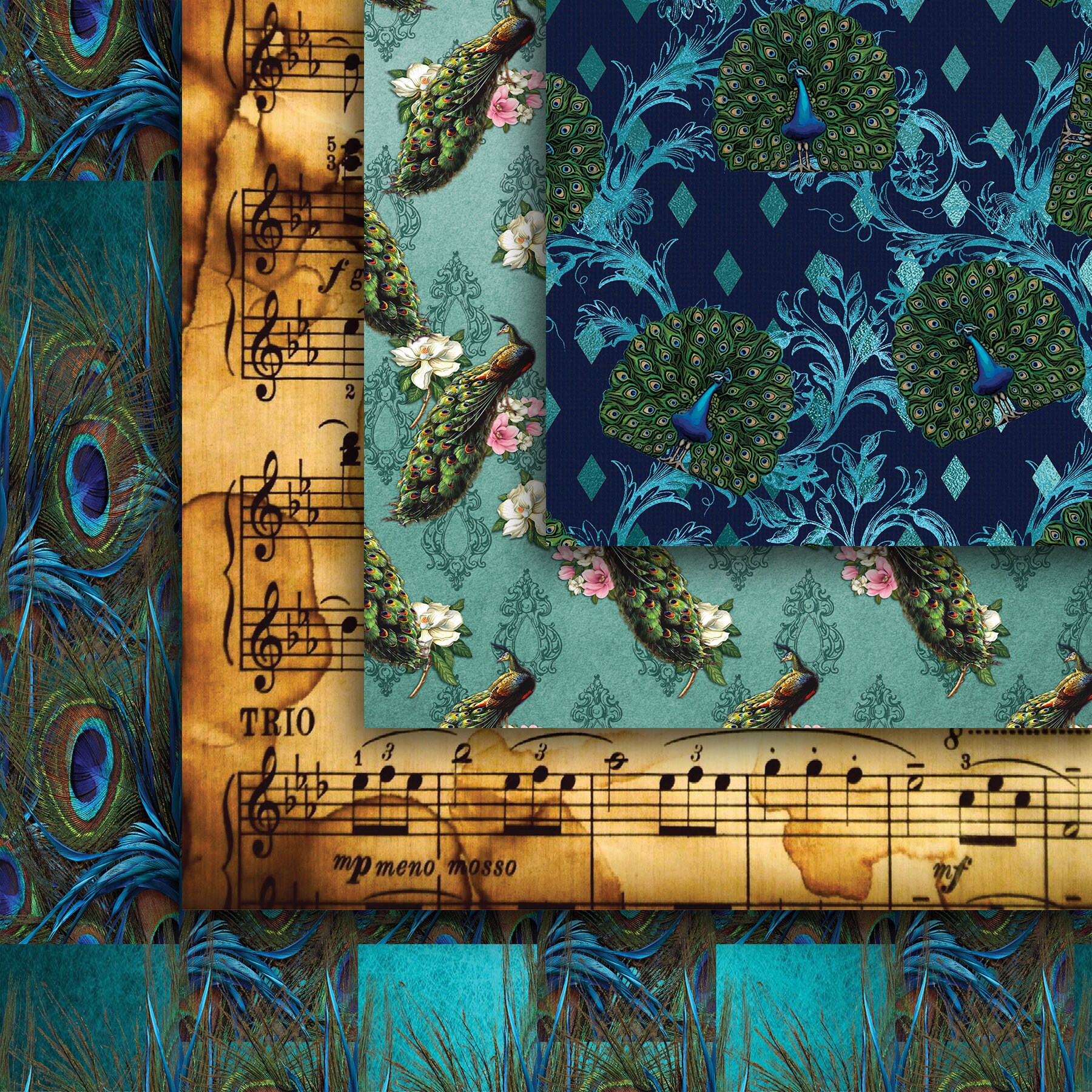 Peacock Digital Paper Pack Peacock Feather Digital Paper - Etsy