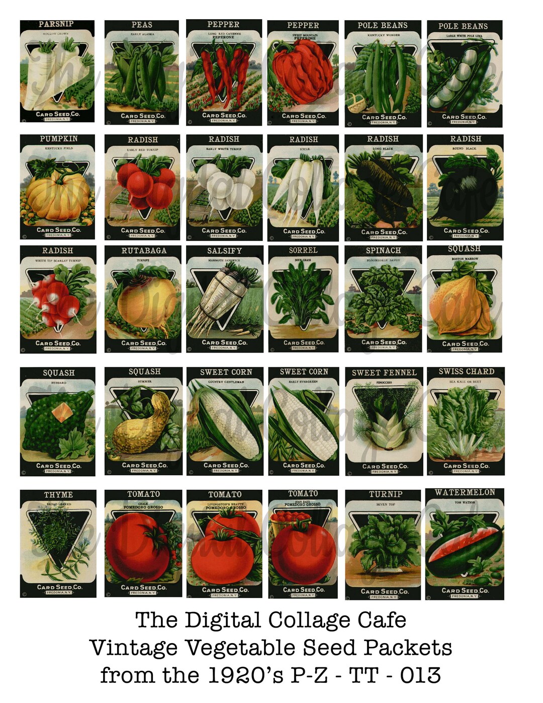 Vintage Vegetable Seed Packets From the 1920s P-Z Digital Collage Sheet ...