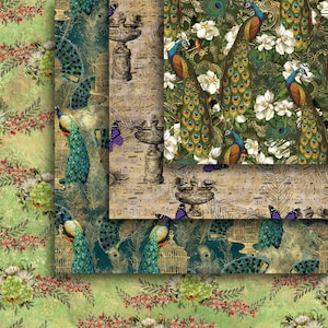 Peacocks 2 Seamless Digital Paper Pack, Peafowl Digital Pattern ...