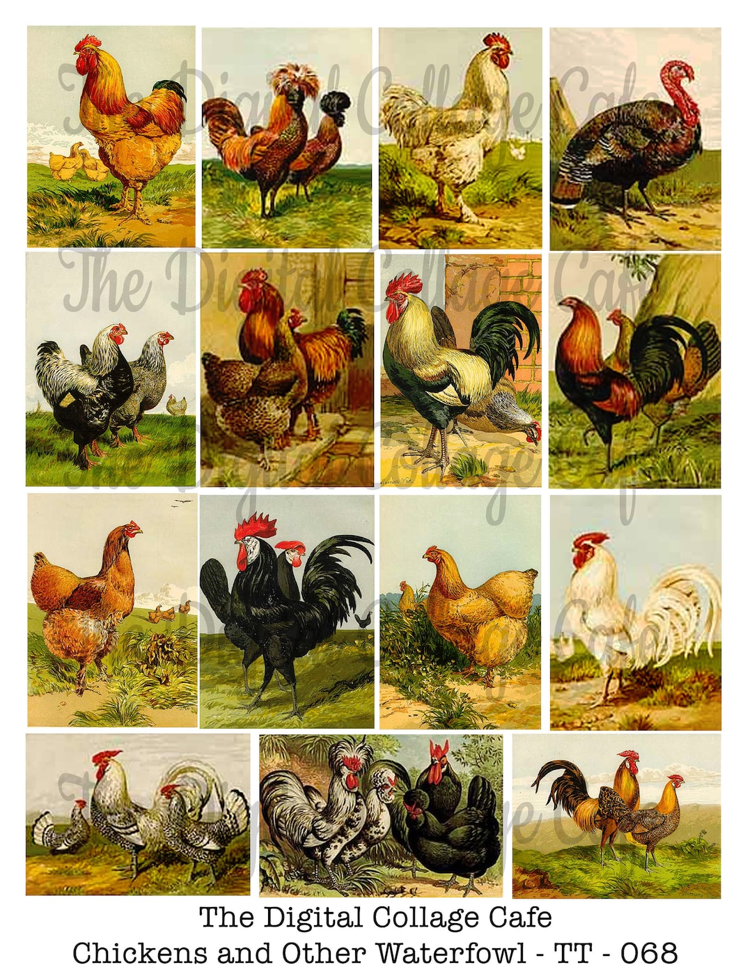 Chickens and Other Waterfowl Digital Collage Sheet - TT - 068 - Instant ...