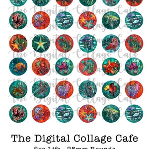 Sea Life Digital Collage Sheet, Ocean Collage, Ocean Life Collage ...