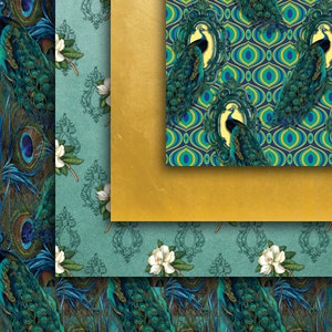Peacock Digital Paper Pack, Peacock Feather Digital Paper Pack, Bird ...
