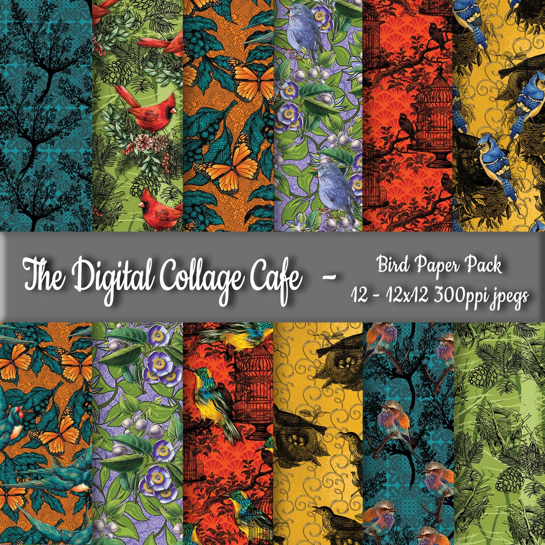 Birds Seamless Digital Paper Pack, Vintage Bird Digital Paper, Colorful ...