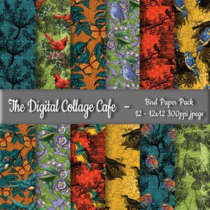 Birds Seamless Digital Paper Pack, Vintage Bird Digital Paper, Colorful ...
