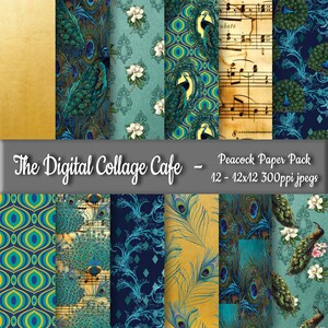 Peacock Digital Paper Pack, Peacock Feather Digital Paper Pack, Bird ...
