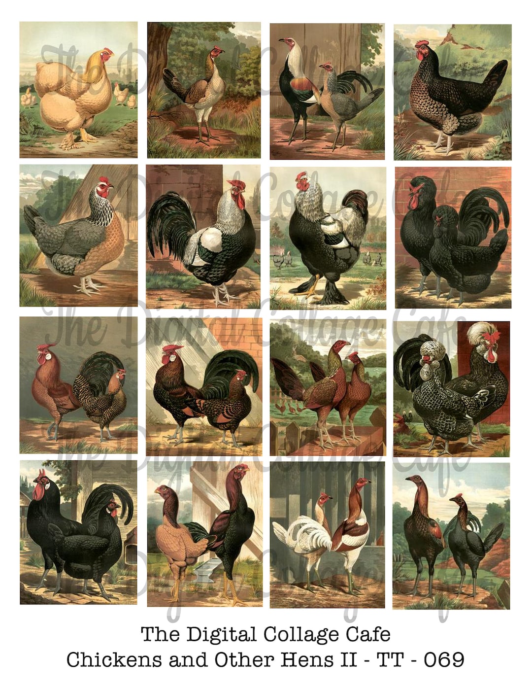 Chickens and Other Hens Digital Collage Sheet - TT - 069 - Instant ...