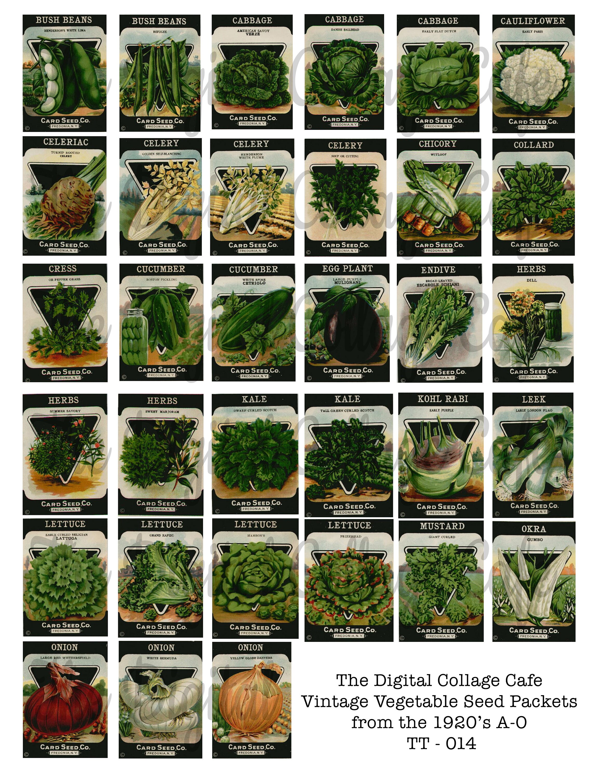 Vintage Vegetable Seed Packets From the 1920s A-O Digital Collage Sheet ...