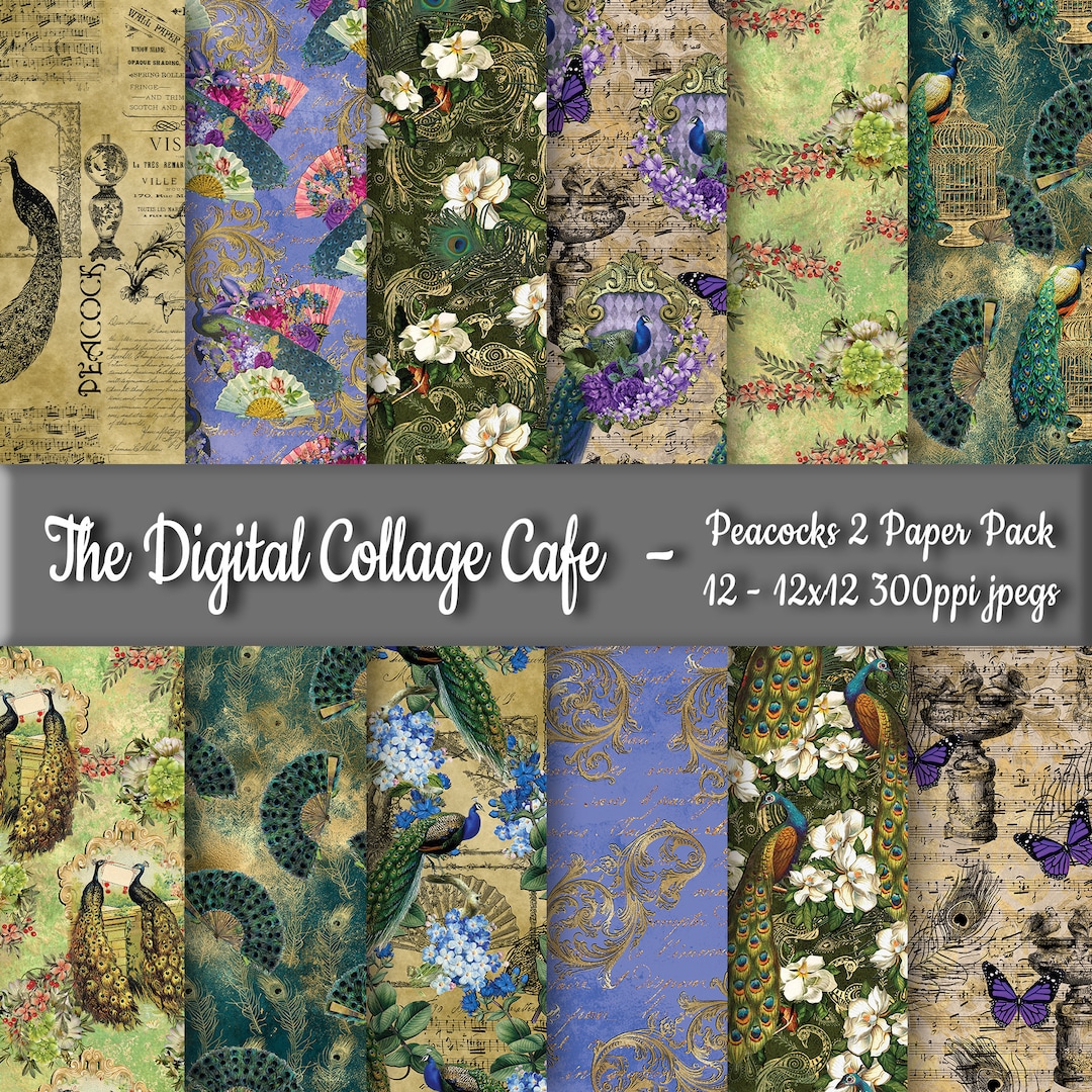 Peacocks 2 Seamless Digital Paper Pack, Peafowl Digital Pattern ...