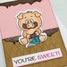Cute Pig Eating Chocolate, You Are Sweet Card - Etsy